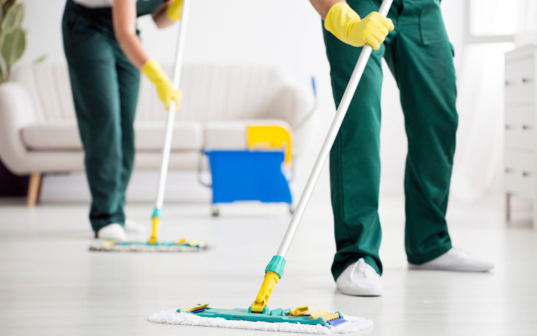 Move-In Cleaning | Deep Steam Cleaning | Mangrove Services